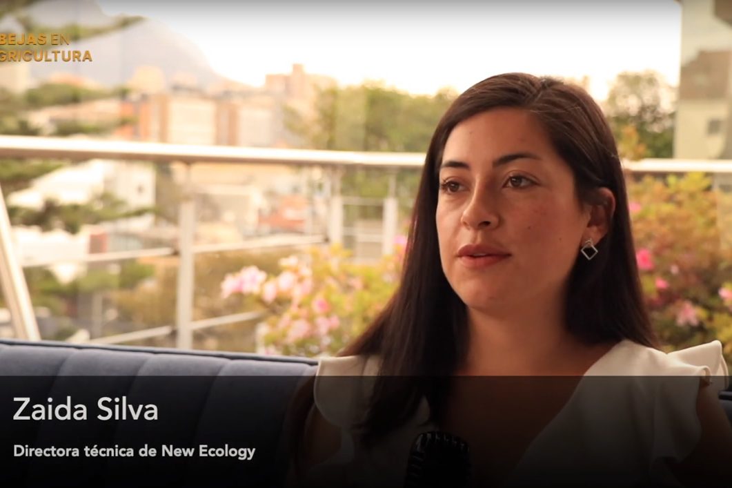 Noticias - Abejas en la agricultura