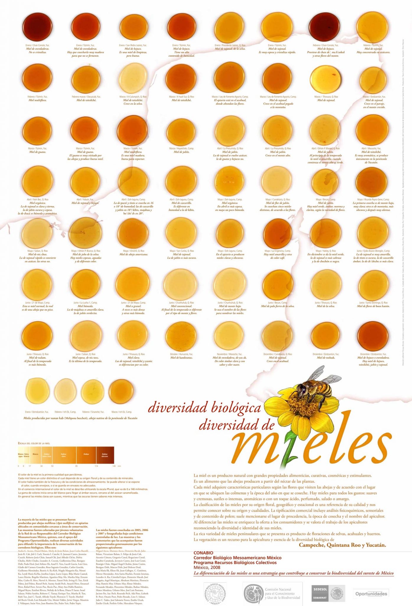 Tipos de miel, sabores con identidad - Abejas en la agricultura